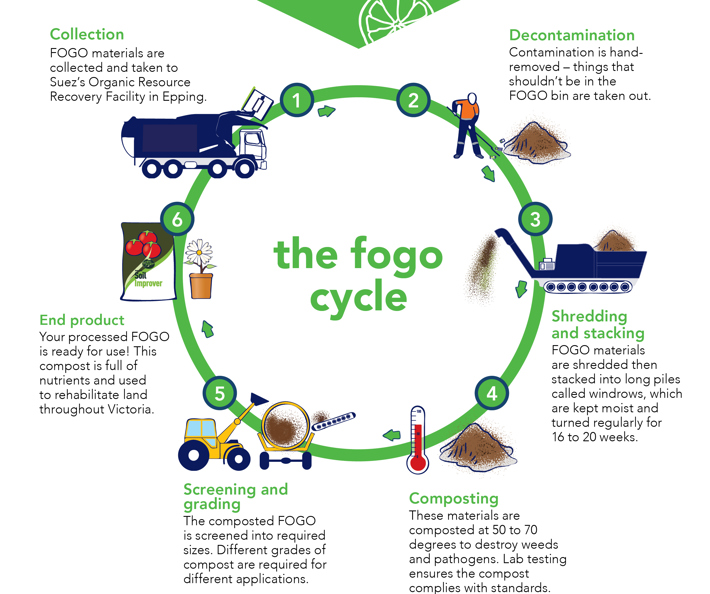 Dispose of your Food and Garden Organics (FOGO) - City of Port Phillip